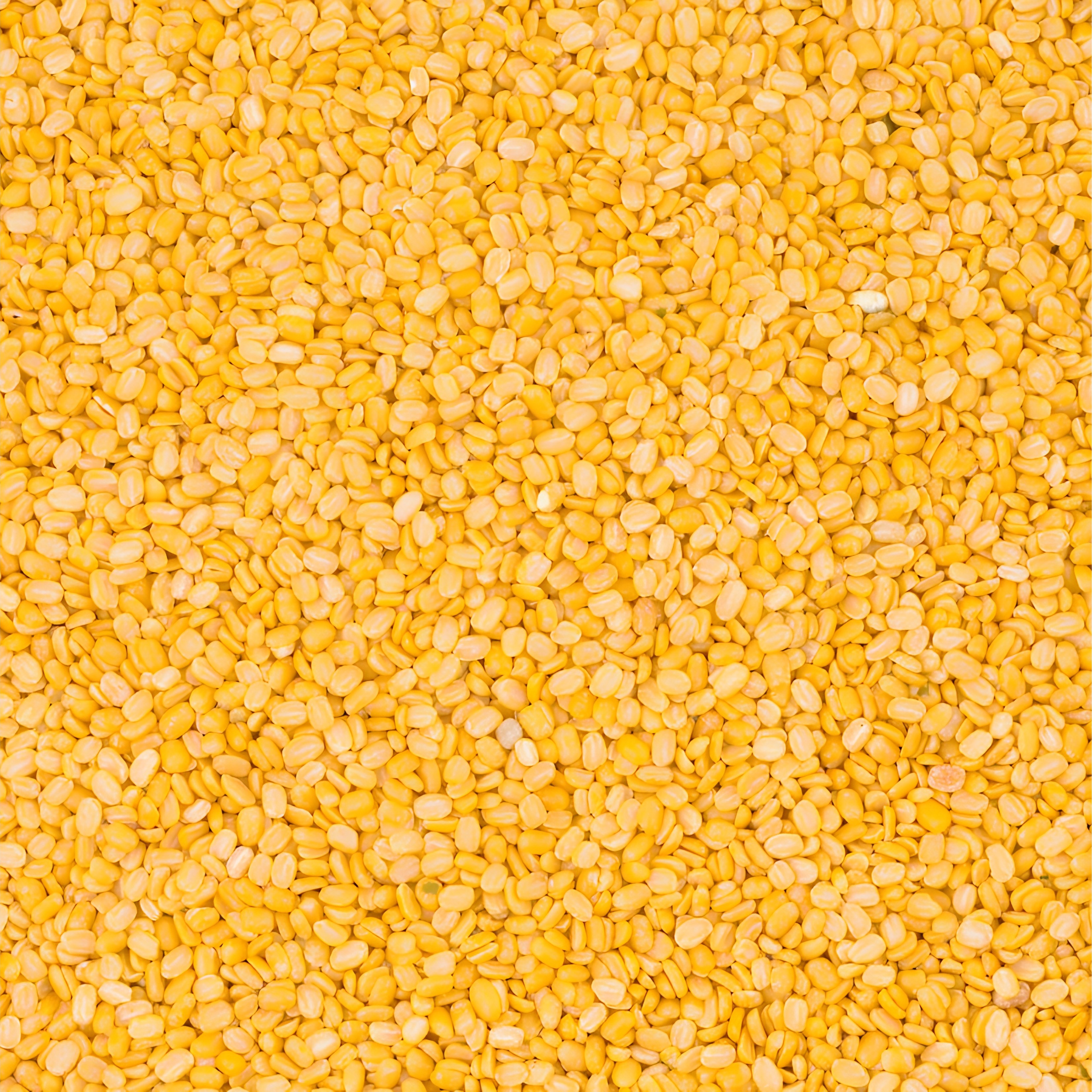 Moong dal (Sprout Activated, Split, deskinned), Organic